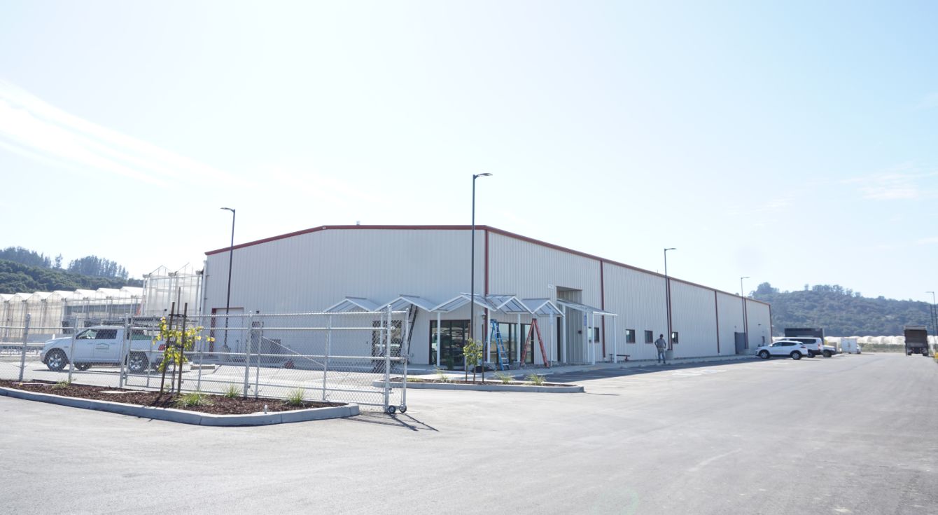 Driscoll’s Breeding Greenhouse | Ausonio